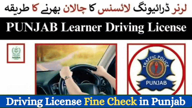 DLIMS E-Challan – Driving License Fine Check in Punjab