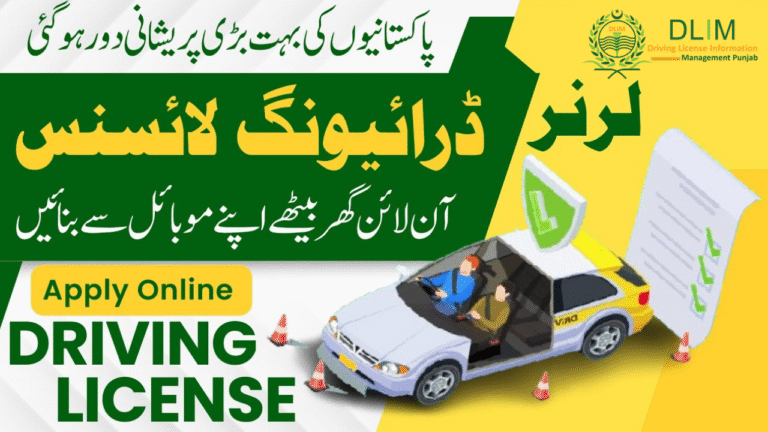 How to Apply for a Learner License Online in Punjab Through DLIMS