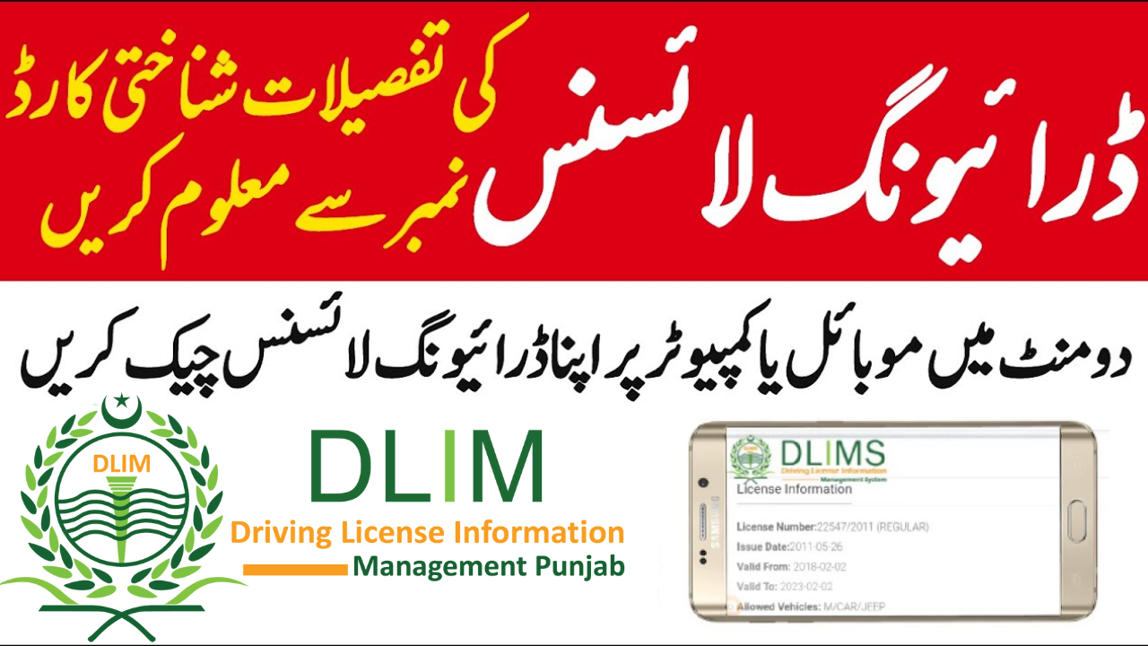How to Track Your Punjab Driving License Online at dlims.punjab.gov.pk ...